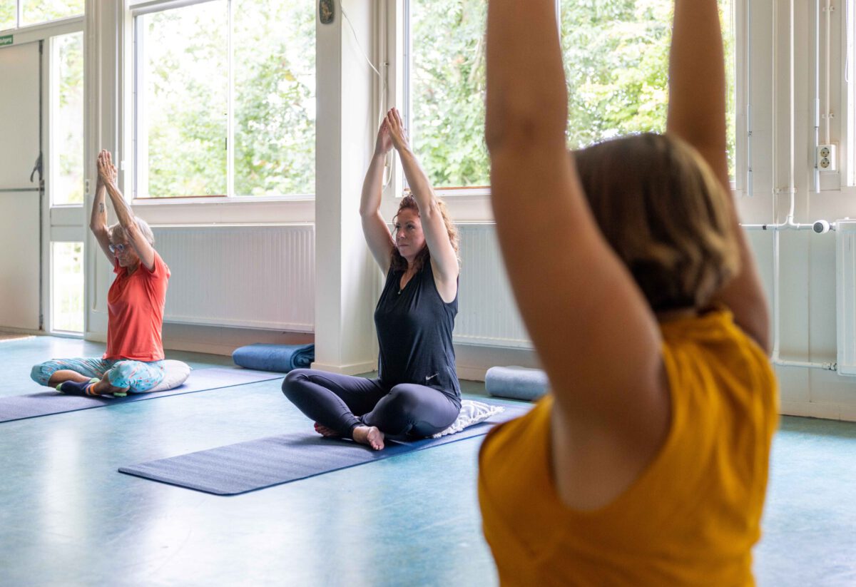 Integrale Yoga - Alline